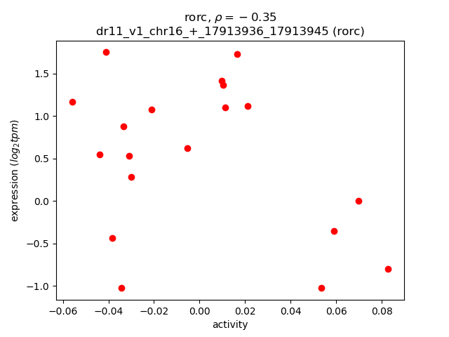 ISMARA results: rorc